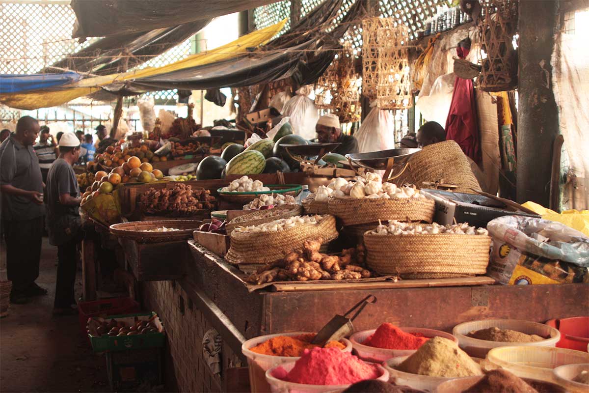 Your Kenyan holiday - Excursions Ukunda Kenya Villa - Aestus Villas ...